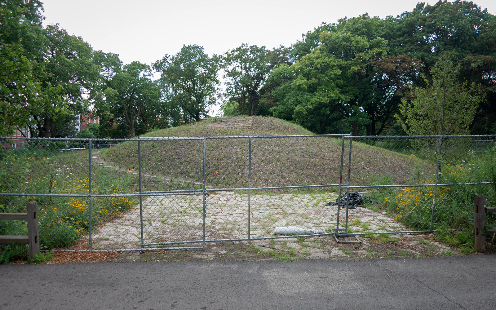 Photos: Abandoned Coil Mound (Land Art) III | David Bernie